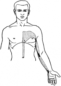 Heart Meridian Acupuncture Points