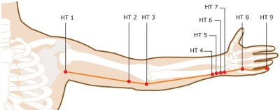 Heart Meridian Acupuncture Points