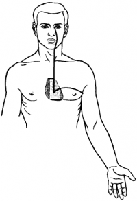 Heart Meridian Acupuncture Points